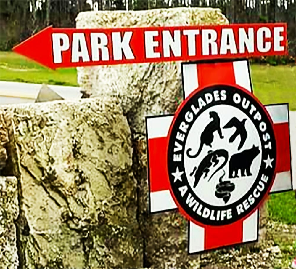 Everglades Outpost Wildlife Refuge - Florida Balm